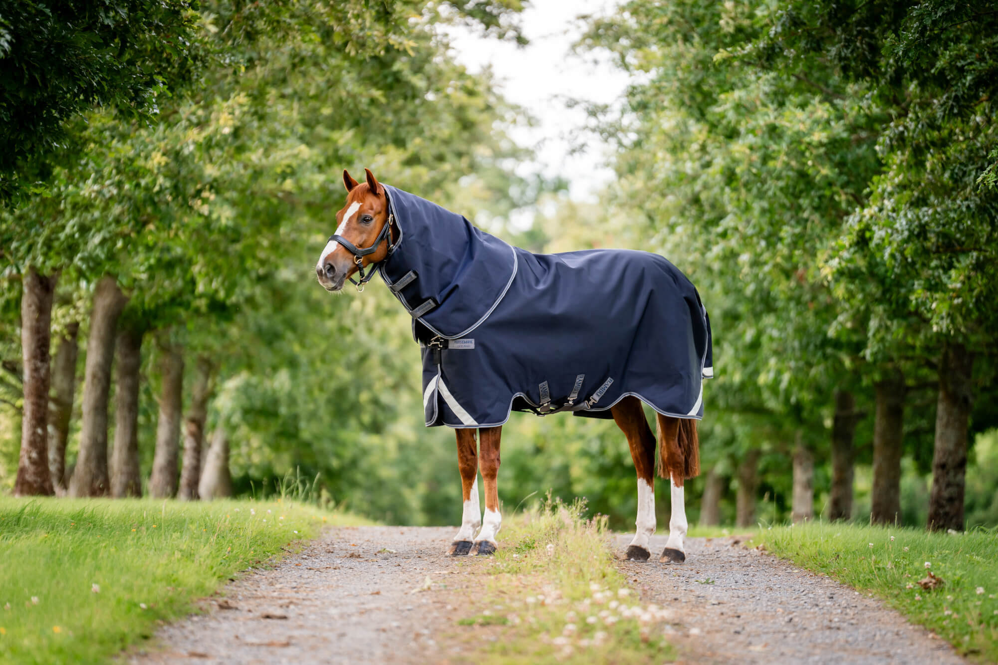 Horseware Outdoor Rug Rambo Supreme 1680D Turnout Plus | FUNDIS Equestrian