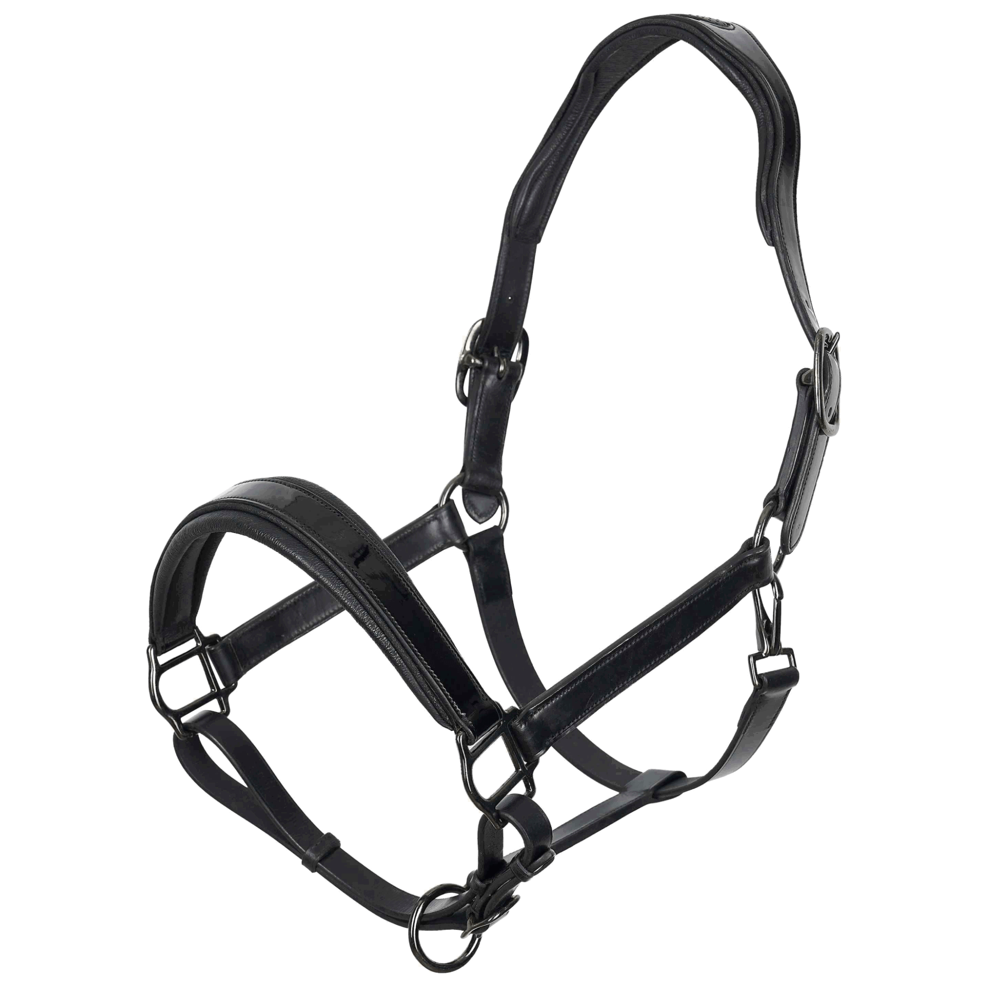 Imperial Riding Lederhalfter IRHHera | FUNDIS Reitsport