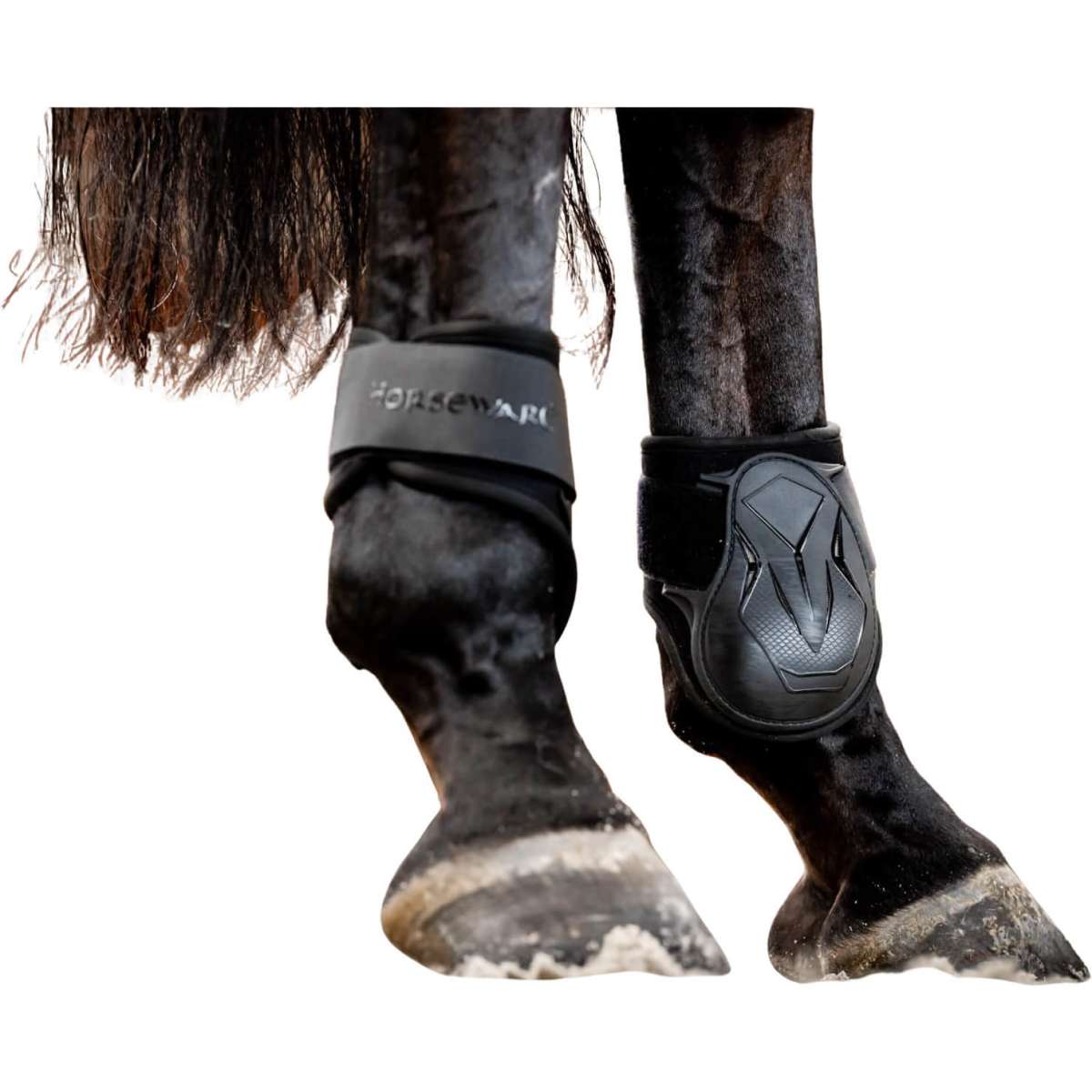Horseware Fetlock Boots Classic SS26 | FUNDIS Equestrian
