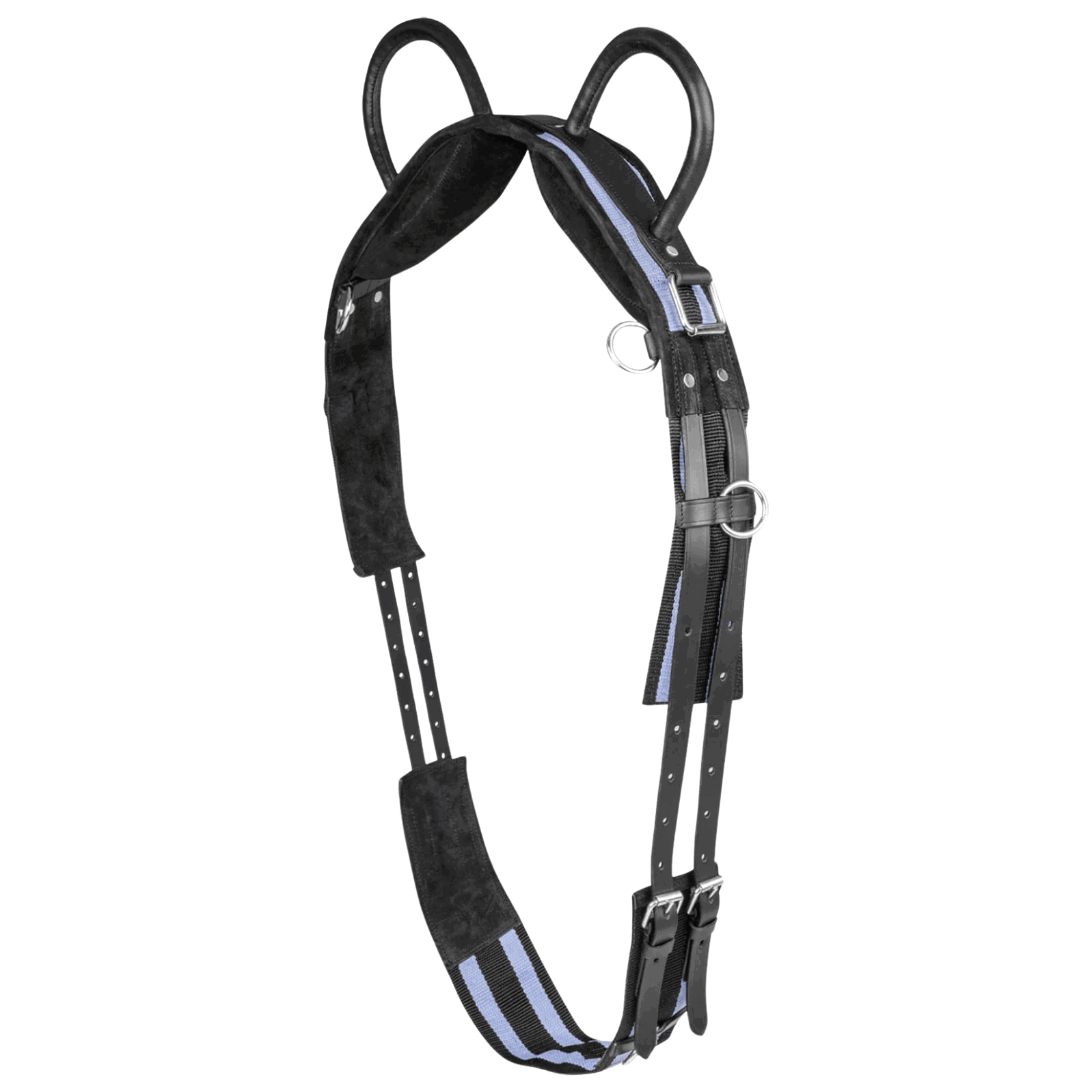 Waldhausen Lunging Girth with Two Handles | FUNDIS Equestrian