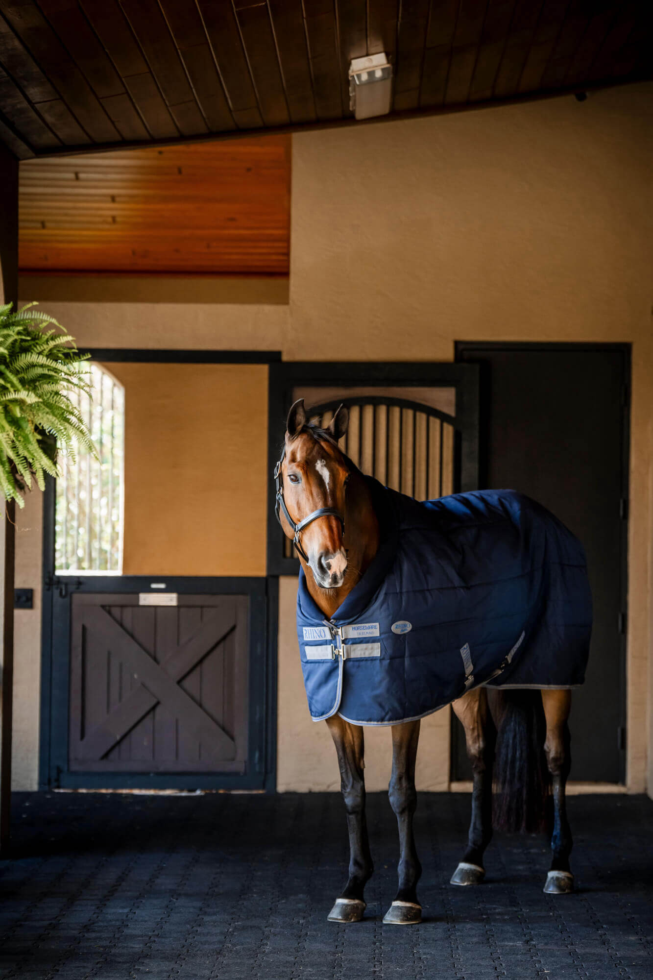 Horseware Stalldecke Rhino Stable Rug 100 g | FUNDIS Reitsport