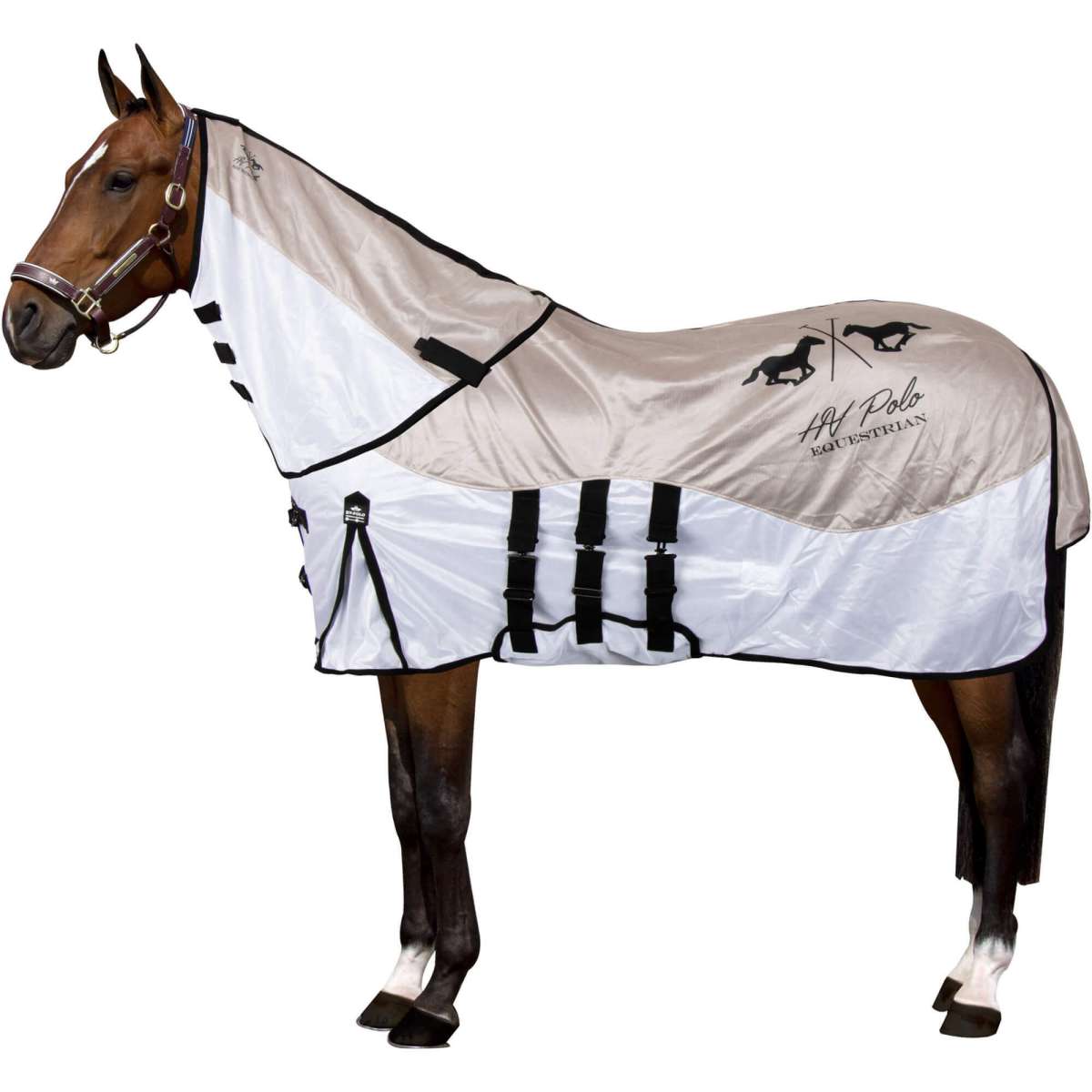 HV Polo UV Protection Fly Rug HVPNena | FUNDIS Equestrian