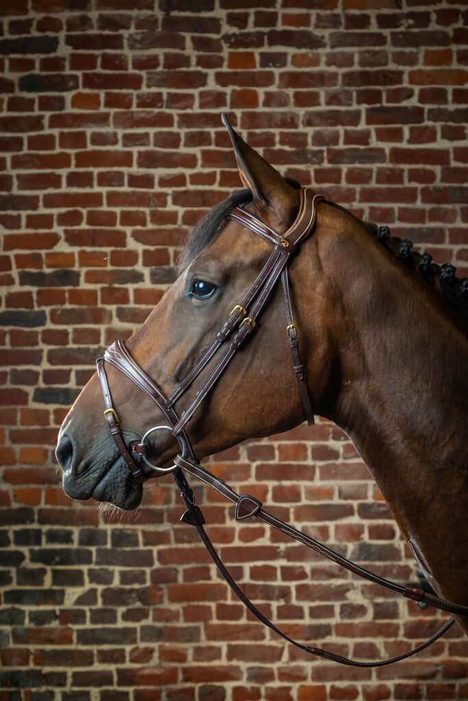 Dyon Bridle Anatomic Flash DC | FUNDIS Equestrian