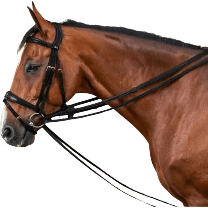 Dyon Leather Draw Rein DC | FUNDIS Equestrian