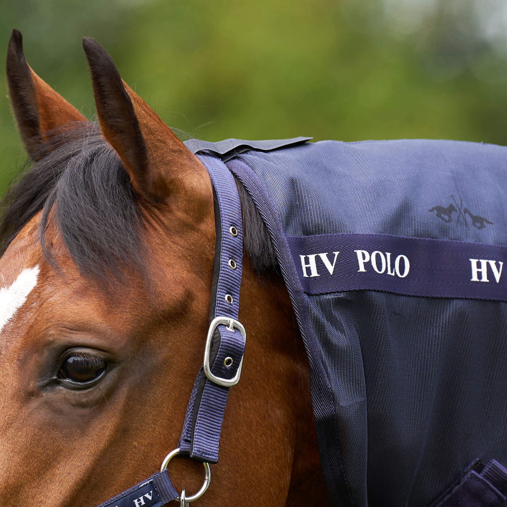 HV Polo Fly Rug HVPNena SS25 | FUNDIS Equestrian