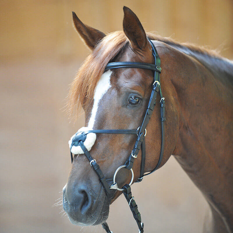 Kavalkade Bridle Carlos with Mexican Noseband | FUNDIS Equestrian