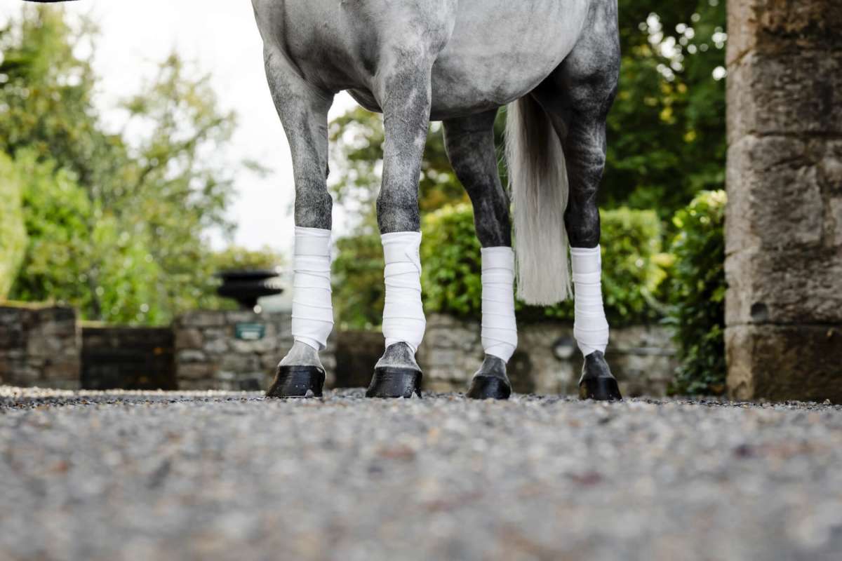 Horseware Fleece Bandages SS26 | FUNDIS Equestrian