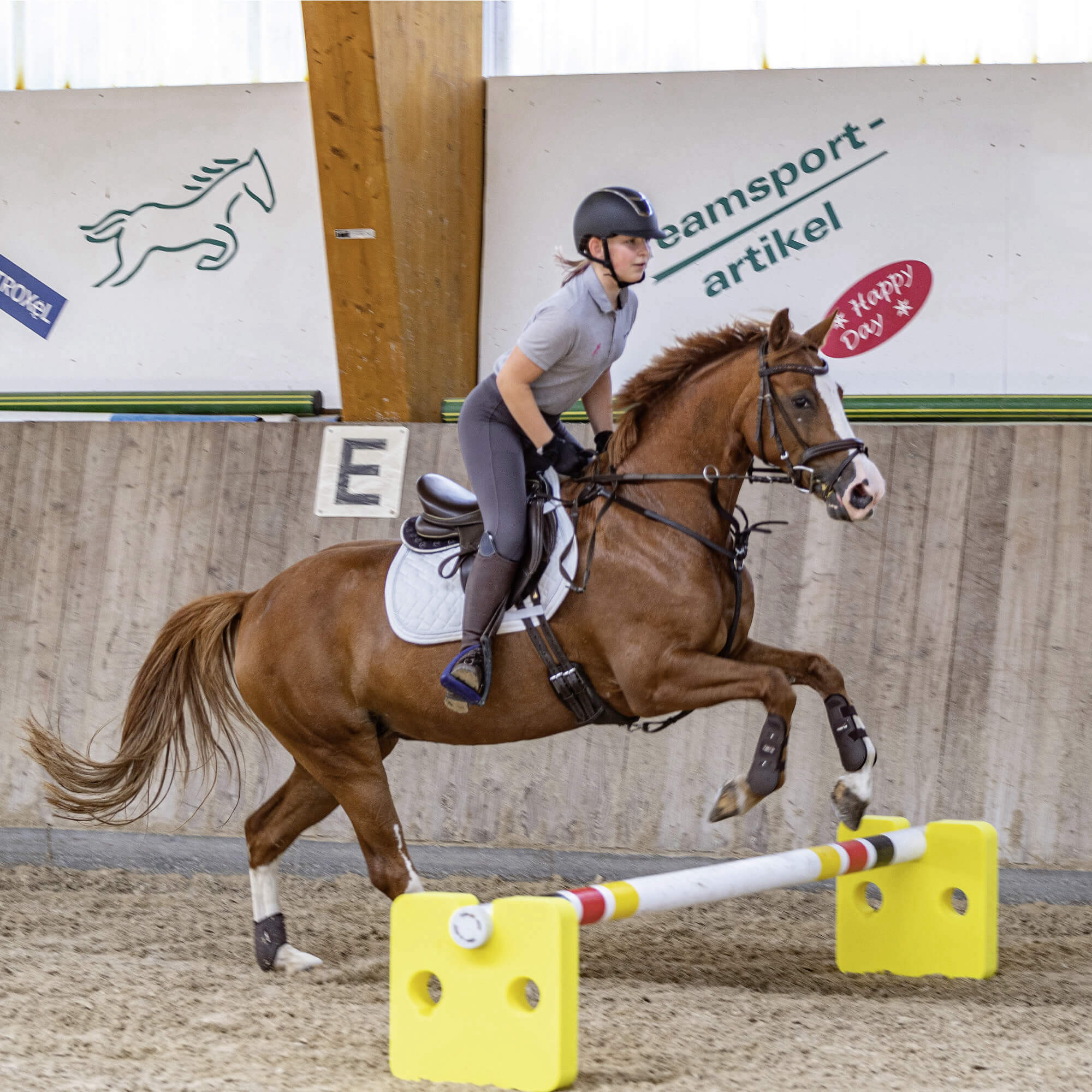 USG Agility Cavaletti Block Large | FUNDIS Equestrian