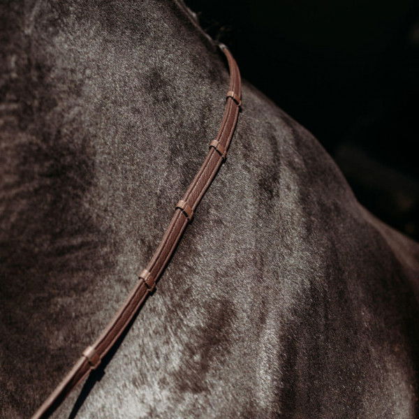 PresTeq Reins FayRein With Martingale Stopper | FUNDIS Equestrian