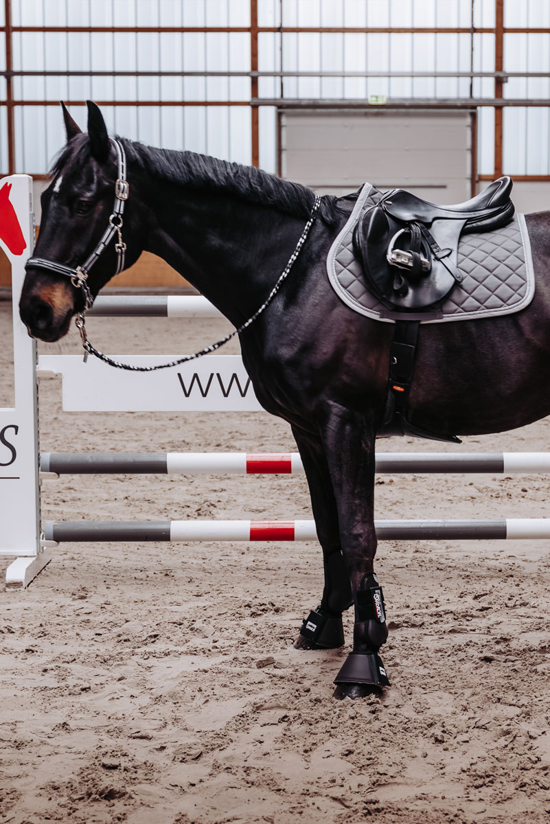 Outfit von Denis | Outfits | FUNDIS Reitsport