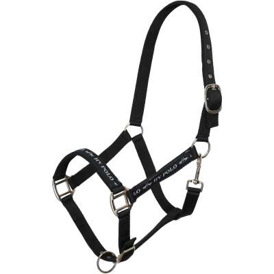 HV Polo Online Shop | FUNDIS Equestrian