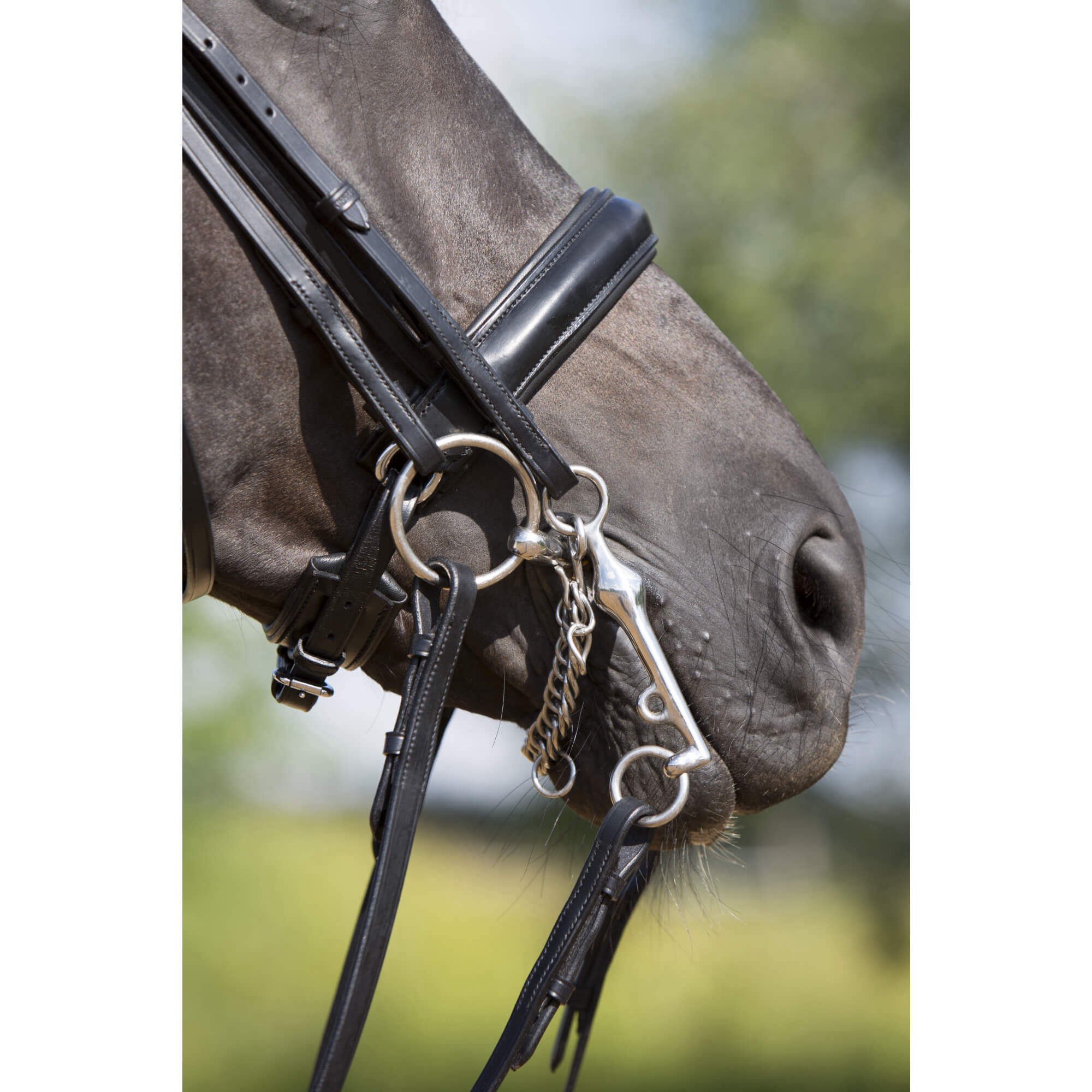 Kieffer Kandare Comfort Lyon mit Zügeln | FUNDIS Reitsport