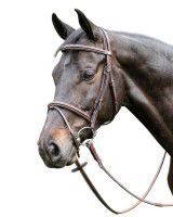 Prestige Italia Online Shop | FUNDIS Equestrian