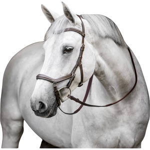 Micklem Trensen: bequem online bestellen | FUNDIS Reitsport