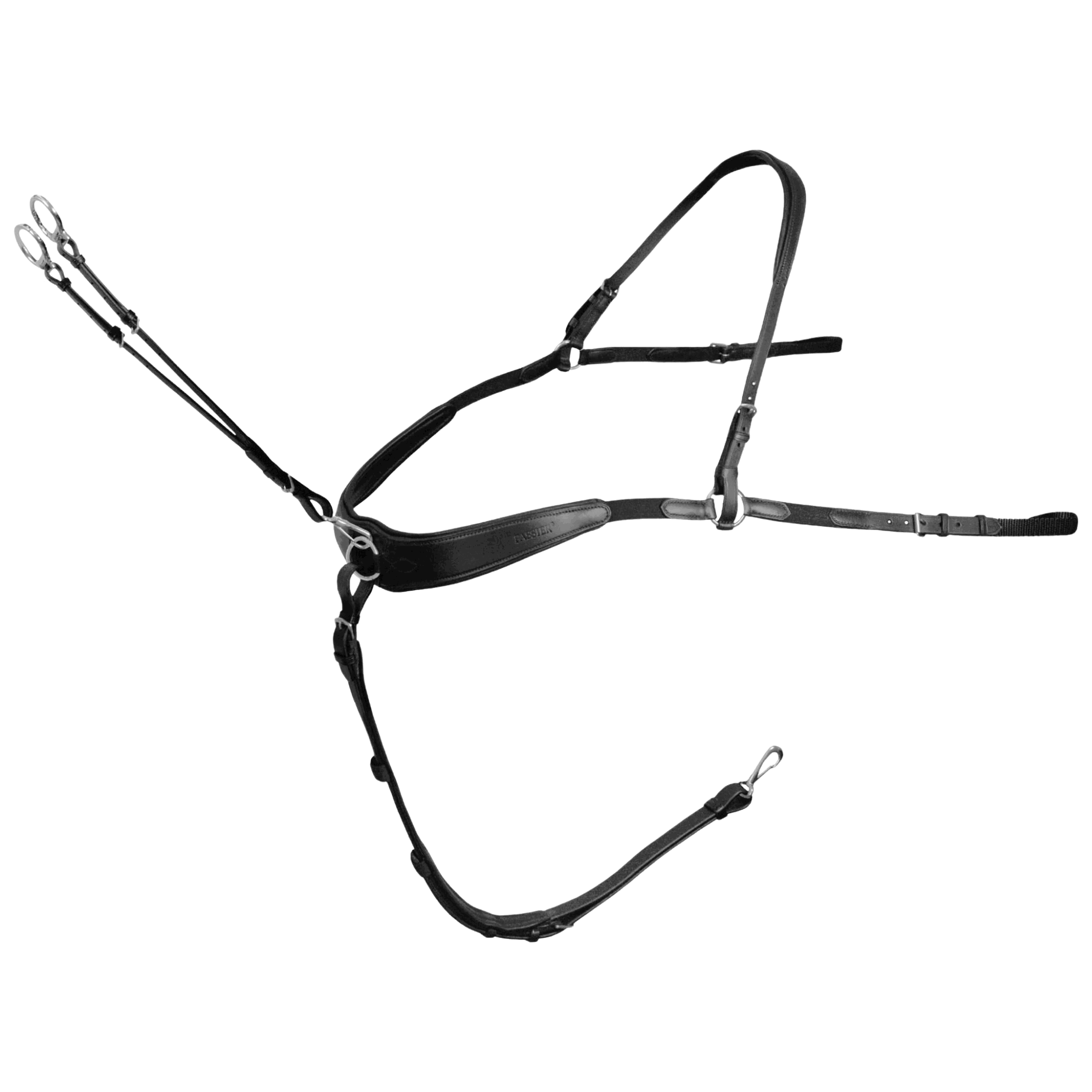 Passier Breastplate Boundless by Julia Krajewski | FUNDIS Equestrian