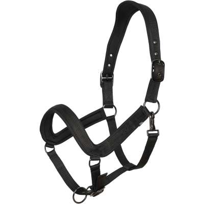 HV Polo Online Shop | FUNDIS Equestrian