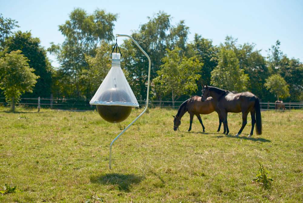 Best horse fly trap store