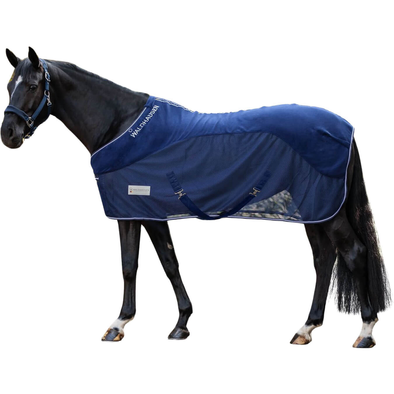 Waldhausen Fleece Fly Rug Comfort | FUNDIS Equestrian
