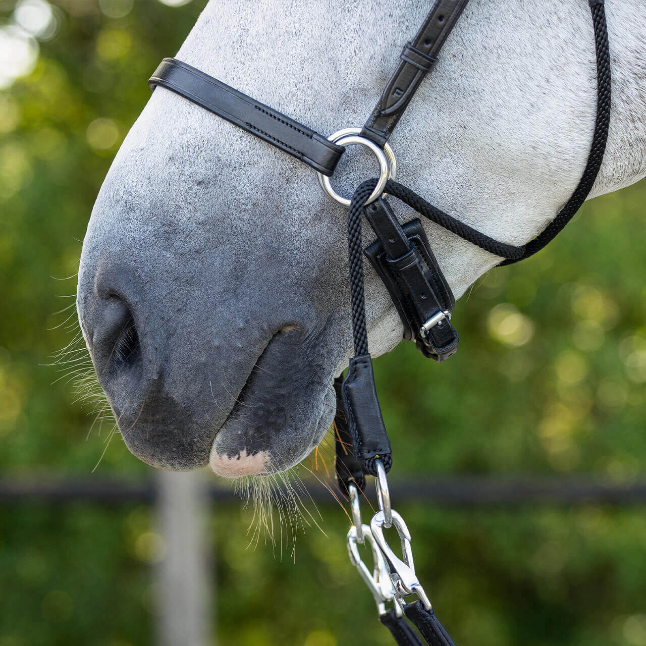 QHP Bitless Bridle Ceto | FUNDIS Equestrian