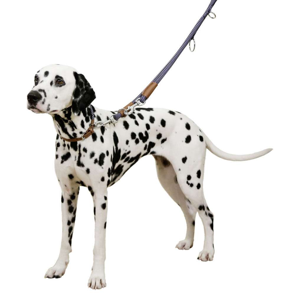 Kerbl Führleine Phoenix | FUNDIS Reitsport