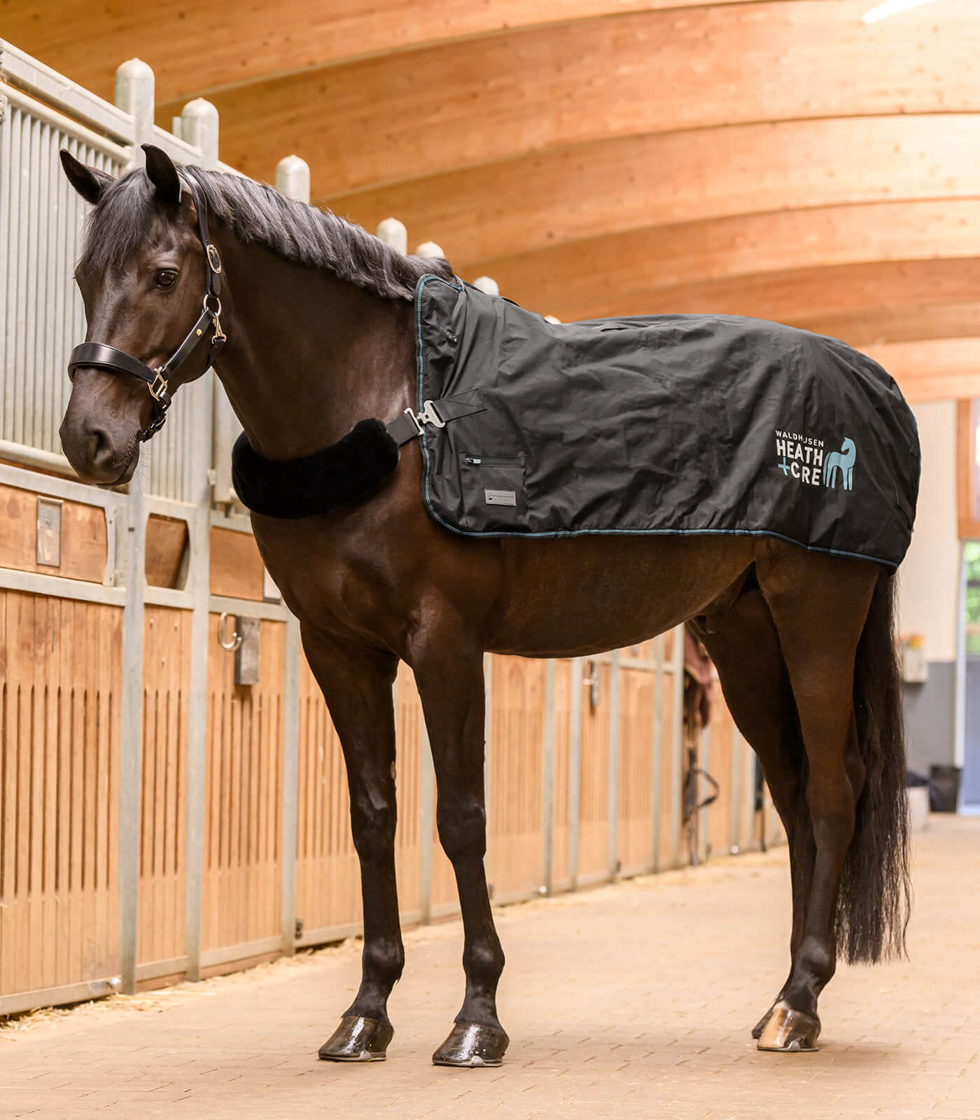 Waldhausen Health + Care TecSupreme Therapy Rug | FUNDIS Equestrian