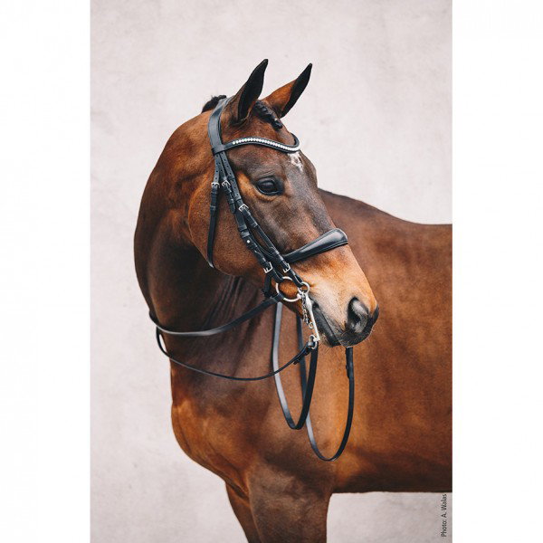 Schockemöhle Sports Double Bridle Equitus Gamma | FUNDIS Equestrian