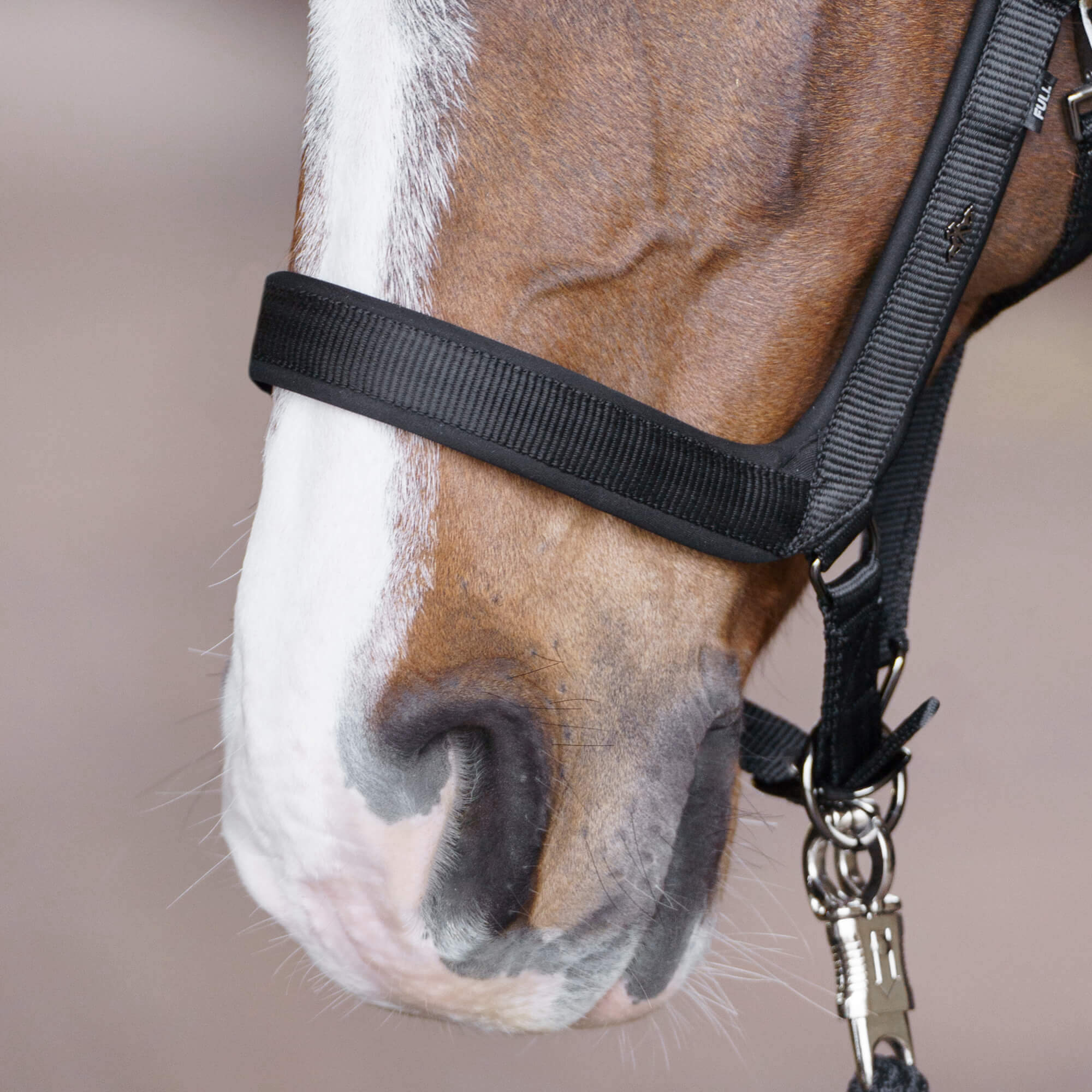 HV Polo Nylon Halter HVPEssential | FUNDIS Equestrian