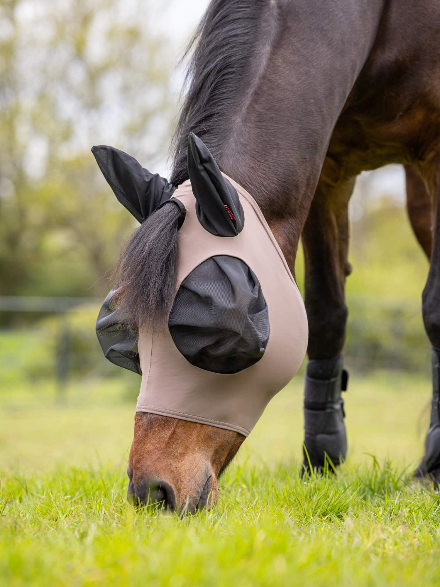 LeMieux Fliegenmaske Bug Relief Half | FUNDIS Reitsport