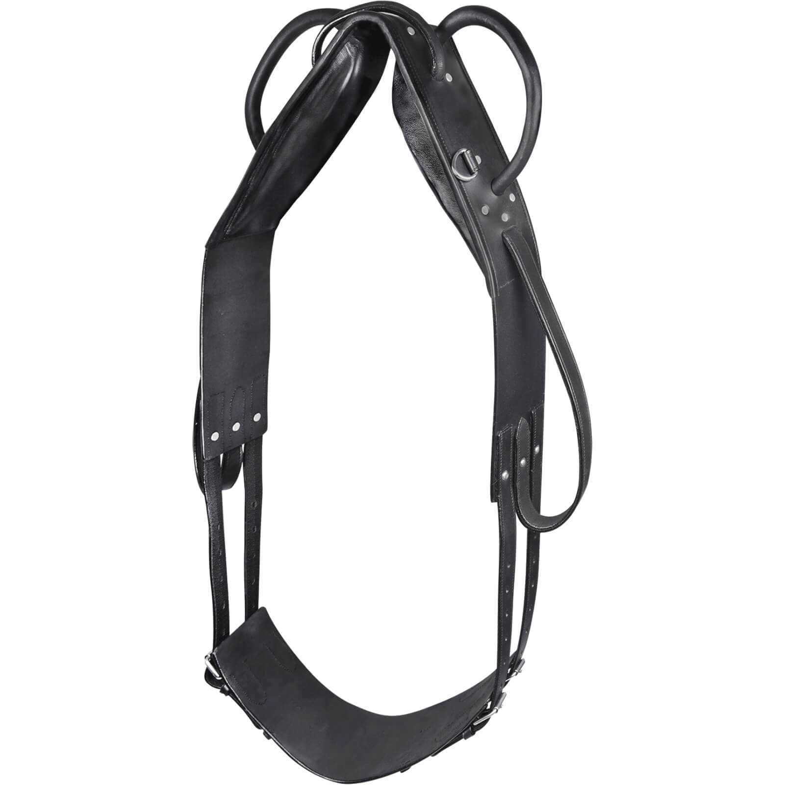 Star Lunging and Vaulting Girth with Handles | FUNDIS Equestrian