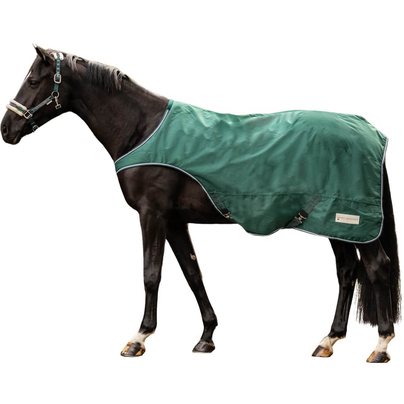Waldhausen Horse Walker Blanket Comfort | FUNDIS Equestrian