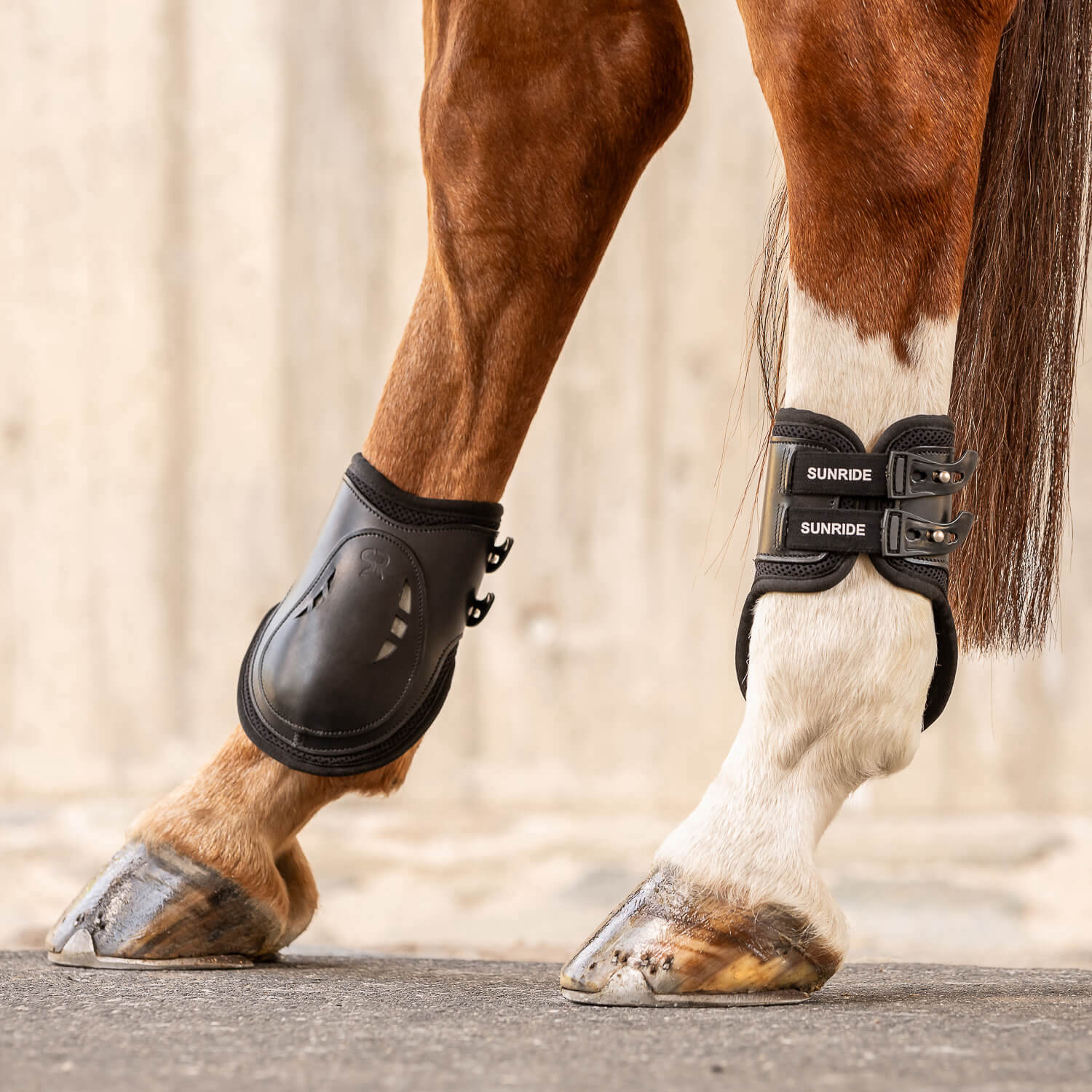 Sunride Leder Streichkappen | FUNDIS Reitsport