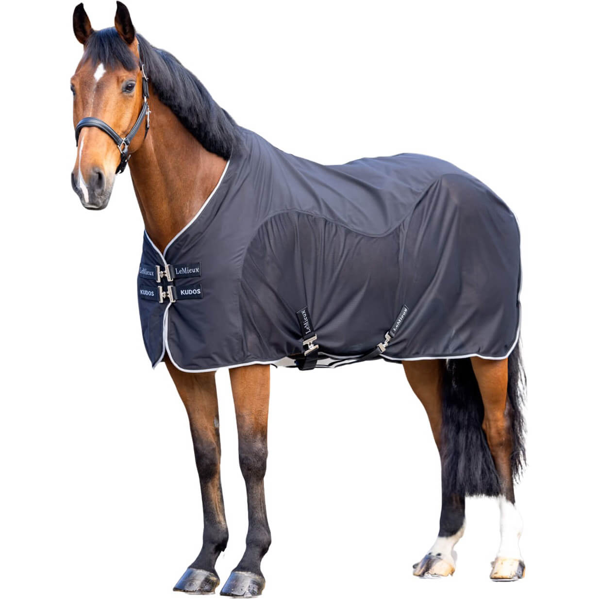 LeMieux Cooler Rug Kudos Hybrid Cooler | FUNDIS Equestrian
