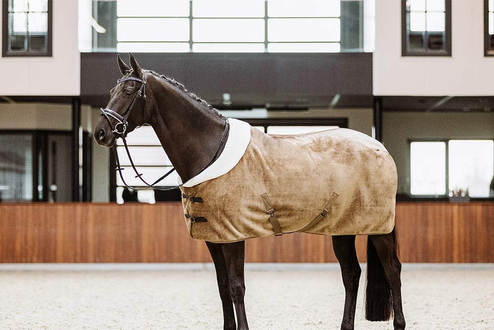 Imperial Riding Collection Fall/Winter 2022 | FUNDIS Equestrian