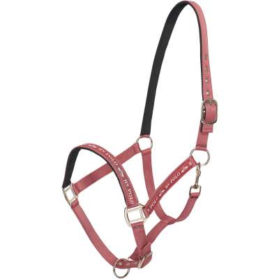 HV Polo Online Shop | FUNDIS Equestrian