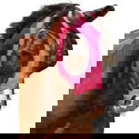 QHP Online Shop | FUNDIS Equestrian