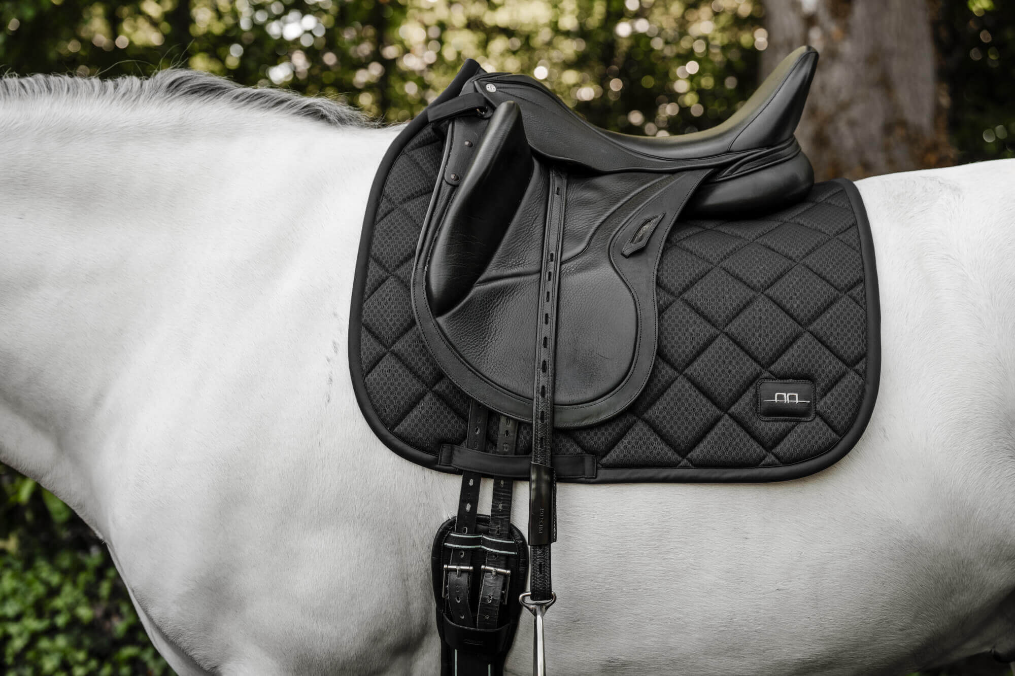 Horseware Dressurschabracke AA Performance FS26 | FUNDIS Reitsport