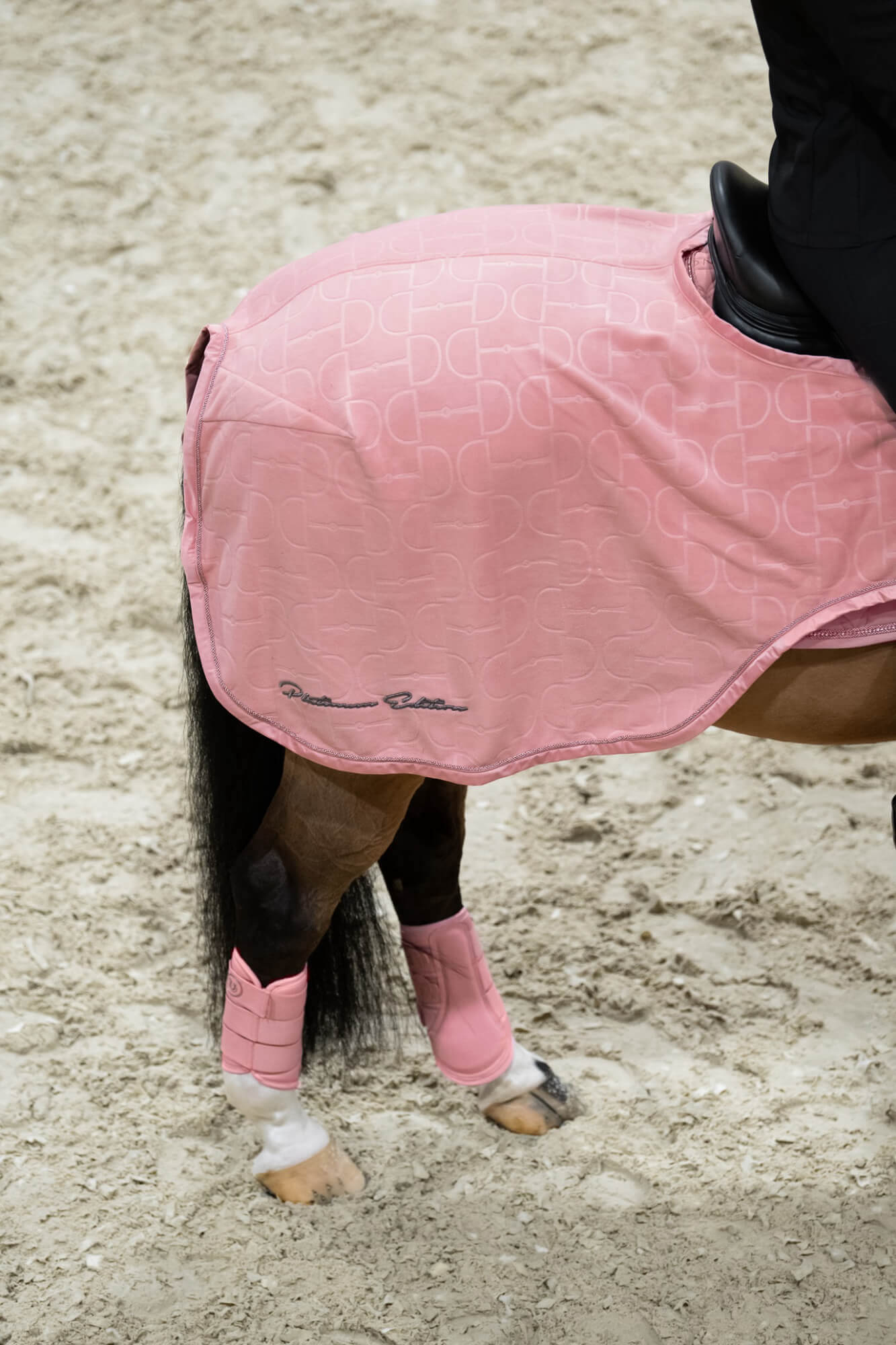 Eskadron Ausreitdecke Fleece Stamp Bit Platinum HW25 | FUNDIS Reitsport