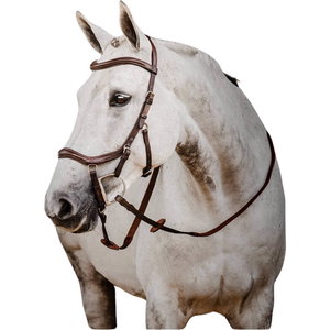 Zaumzeug und Zubehör: bequem online kaufen | FUNDIS Reitsport