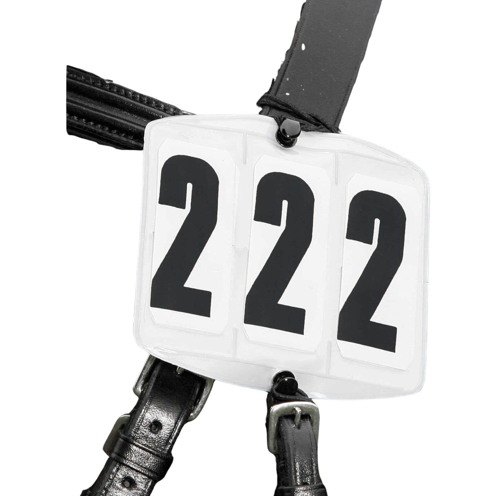 Waldhausen 3-Digit Start Numbers | FUNDIS Equestrian