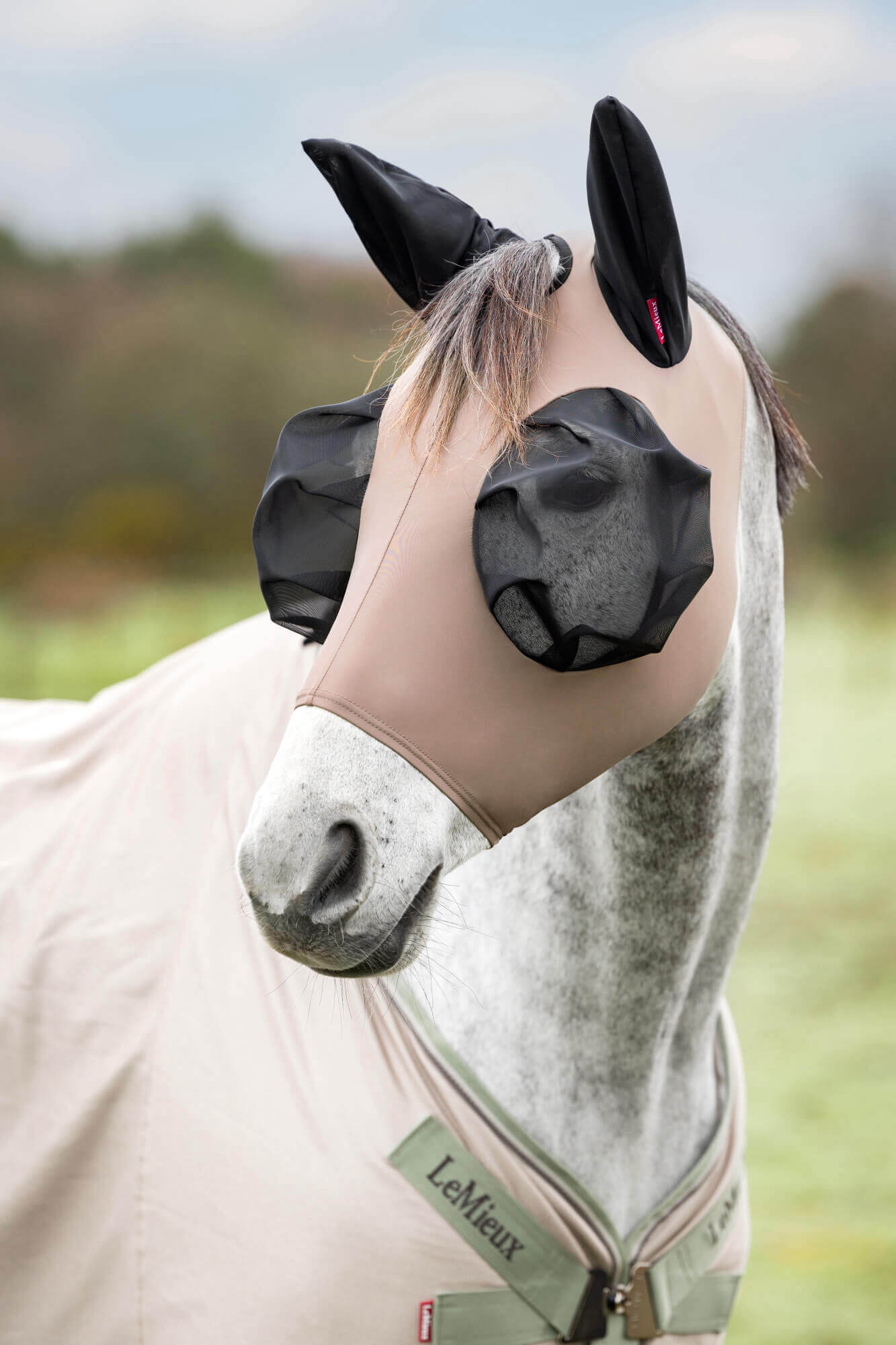 LeMieux Fliegenmaske Bug Relief Half | FUNDIS Reitsport