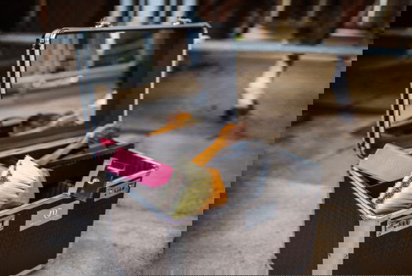 Imperial Riding Grooming Box Shiny | FUNDIS Equestrian